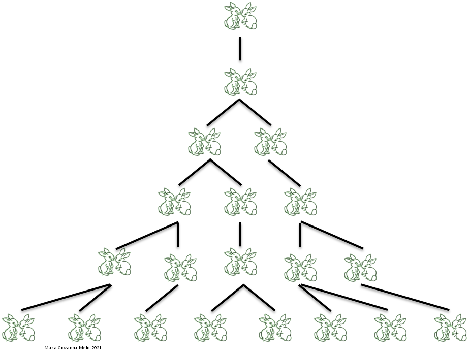 Conigli e spirali * C'è sempre voglia di Matematica